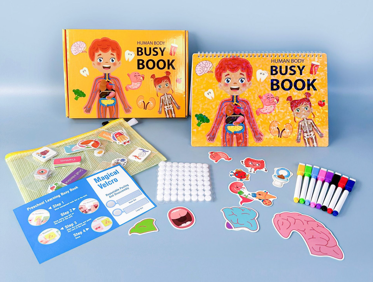 Human Body Busy Book & Anatomy Model for Kids | Interactive Montessori ...